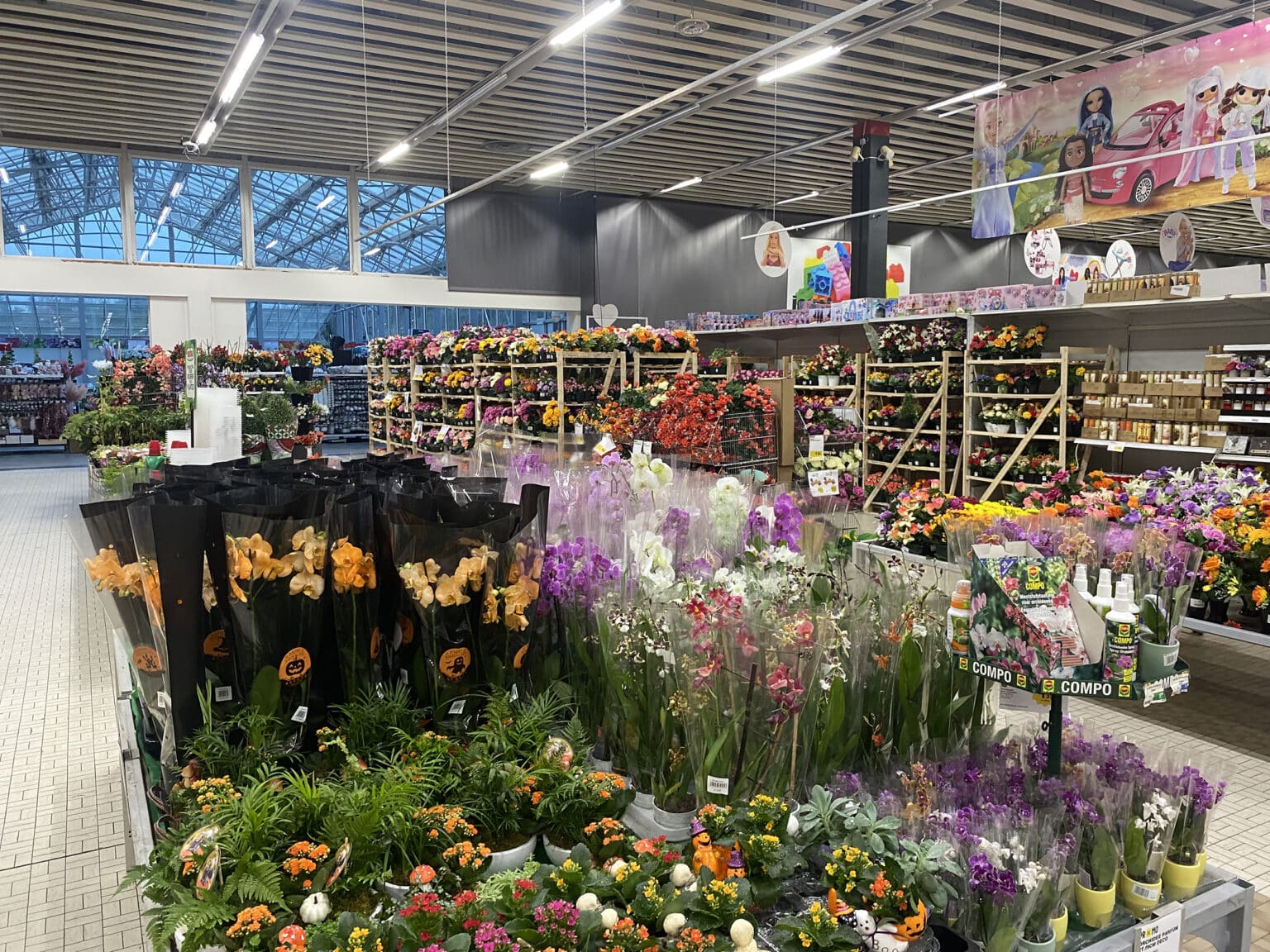 Découvrez le lifting du cinquantenaire de Cora Rocourt - Olivier Dauvers