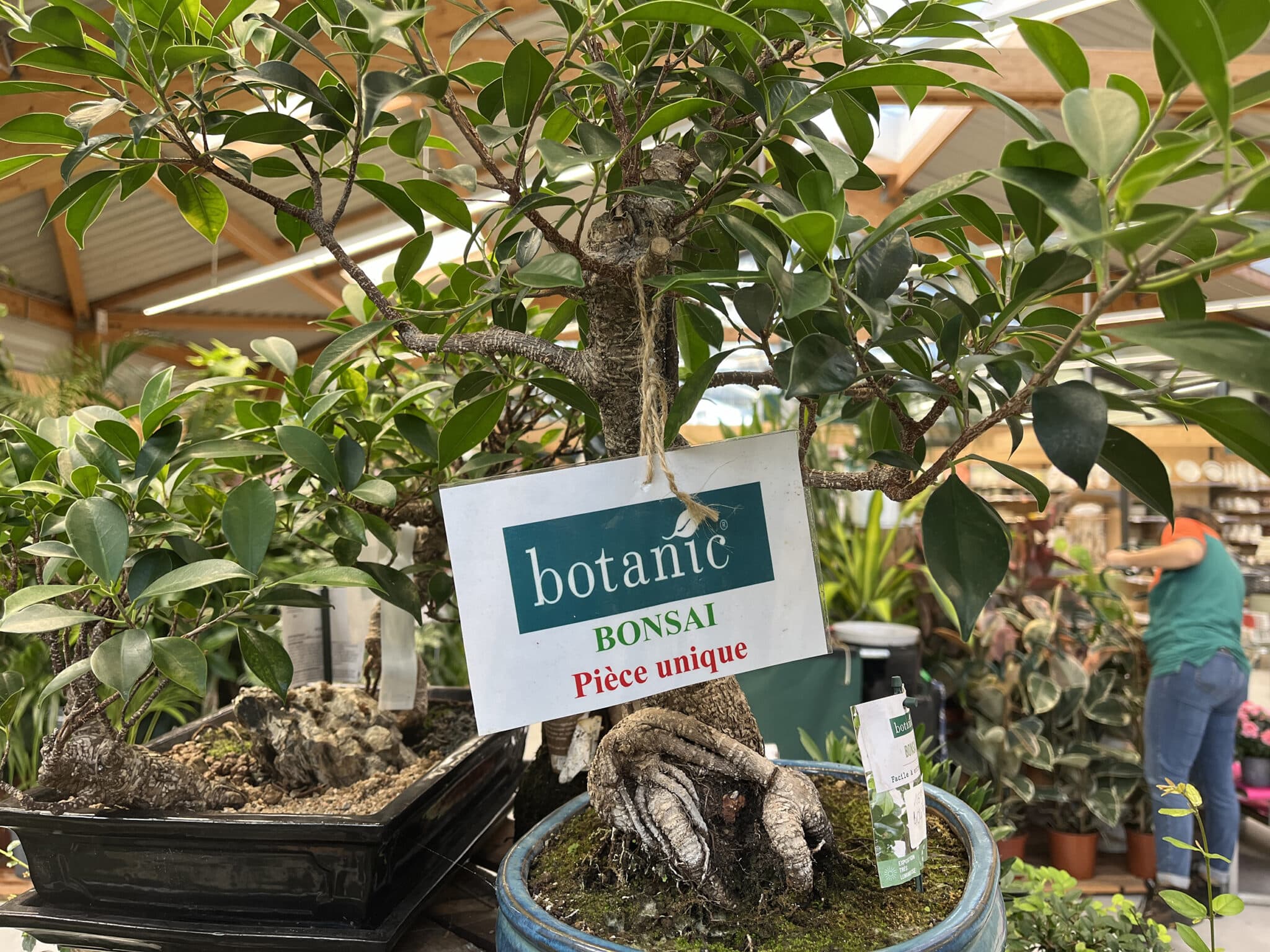 SAMEDI CONSO : mon carnet (retail mais pas que…) de la semaine ...